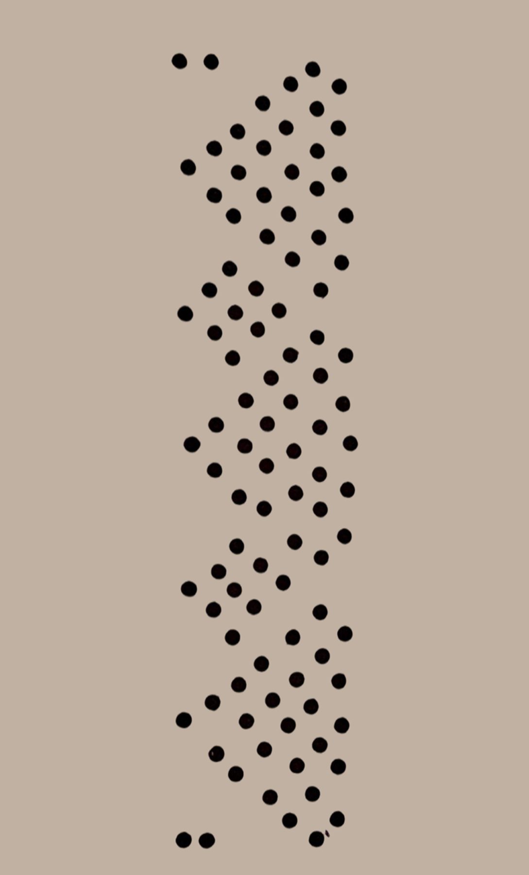 Fancy Dots 2mm – Jayshrees / Rivaz